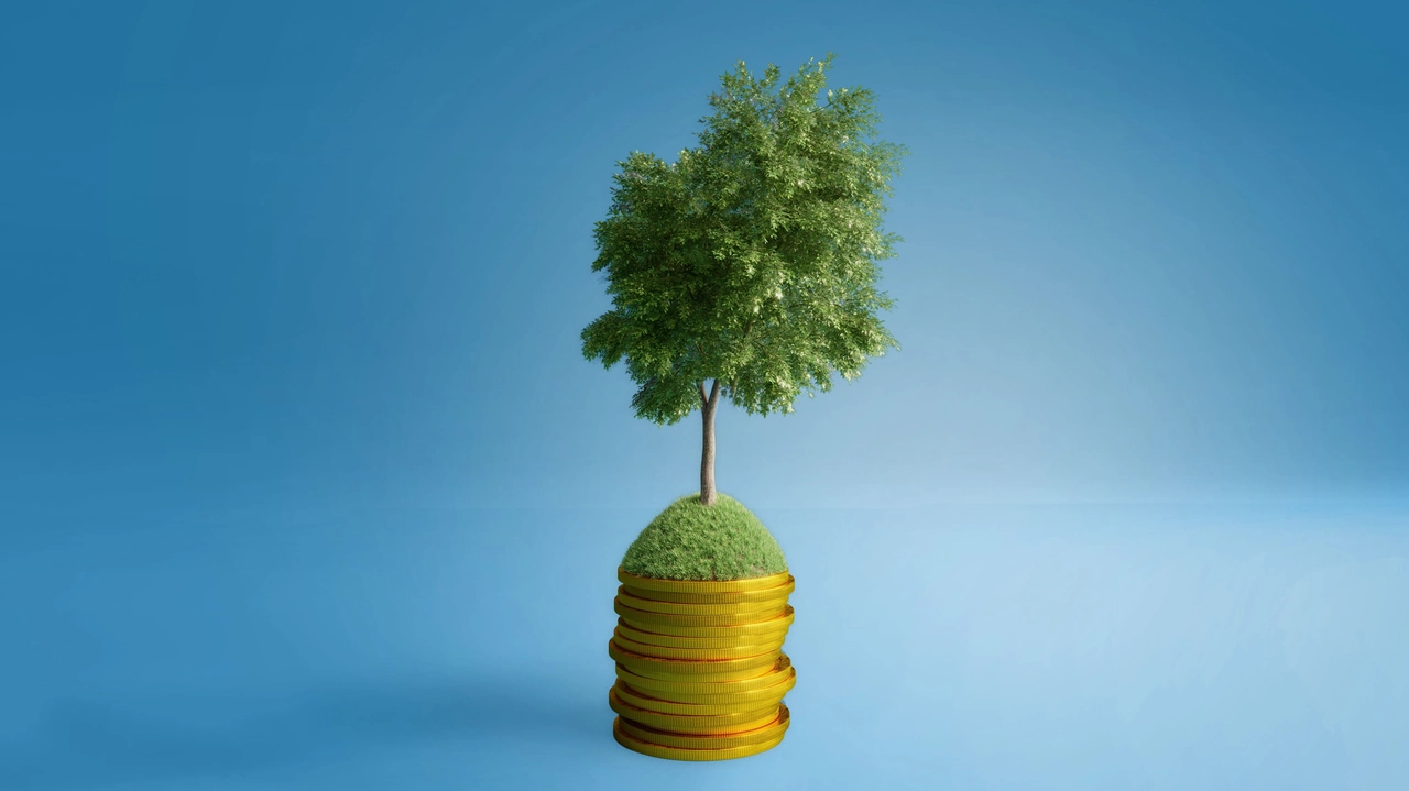 What Is an IRA CD and Why Buy One? - Buy Side from WSJ